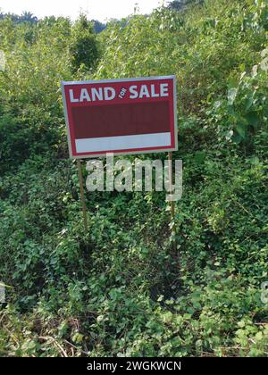 blank signboard for commercial purposes Stock Photo - Alamy