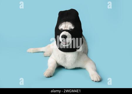 Adorable husky dog in balaclava with money bag and gun on white ...