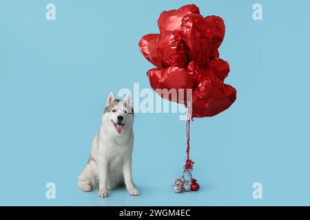 Adorable husky dog with heart shaped balloons and gift boxes on white ...
