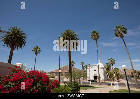 Palm framed daytime view of historic buildings in downtown Ajo, Arizona ...