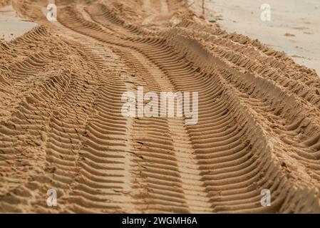 The wheel ruts of construction vehicles on the beach at the seaside ...