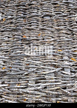 Old wicker fence of dry vertical twigs as background. Traditional ...