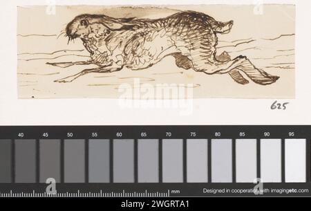 Haas, Johannes Taventrate, 1840 - 1880 drawing paper. ink pen rodents ...