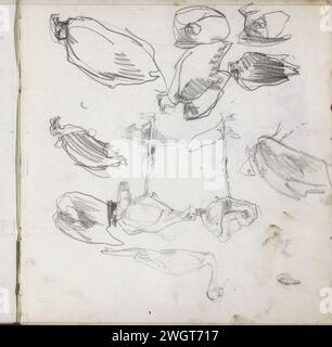 Study of vultures. Sketch sheet with (detail) studies of vultures Stock ...