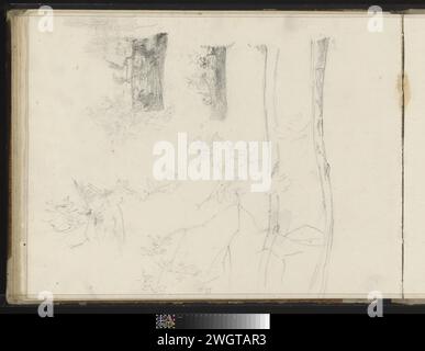 Tree trunks. Leaf 38 Verso from a sketchbook with 39 sheets Stock Photo ...