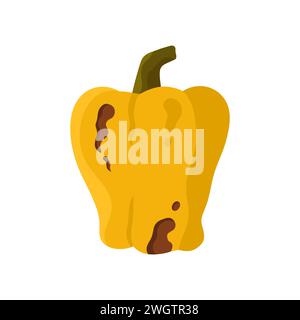 Damaged rotten sweet pepper. Vegetable from kitchen litter, moldy old ...
