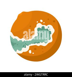 Old rotten orange fruit. Bad unhealthy food from kitchen, moldy expired ...