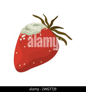 Old rotten strawberry. Bad old unhealthy fruit, moldy expired product ...