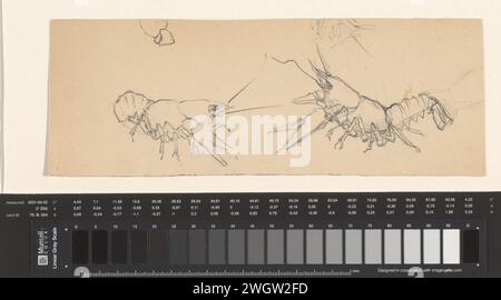 Two lobsters, Julie de Graag, 1887 - 1924 drawing paper. ink. deck paint. pencil pen / brush ...