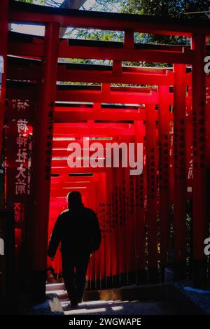 Red shrine, Thousand Toriis, Tokyo Japan Stock Photo - Alamy