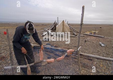 Bruce Inglangasak smoking broad whitefish Coregonus nasus at camp anwr ...