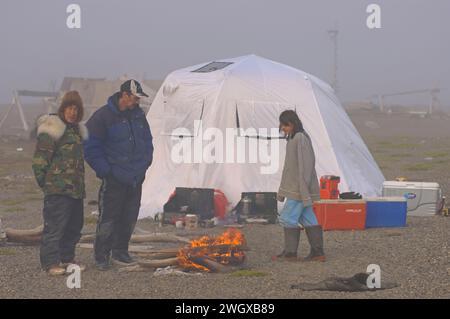camp on a sandspit along anwr 1002 coastal plain arctic alaska Stock ...