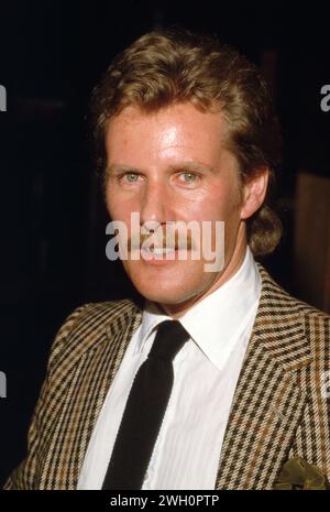 David Robb Circa 1980's Credit: Ralph Dominguez/MediaPunch Stock Photo ...