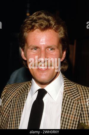 David Robb Circa 1980's Credit: Ralph Dominguez/MediaPunch Stock Photo ...