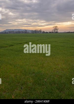 Fields and meadows near Arles France on a cloudy morning in winter ...