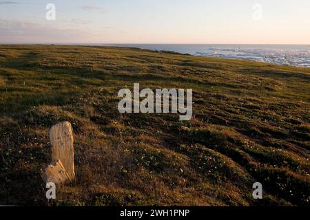 old whaler graves in wild flowers flowering in the arctic tundra Barter ...