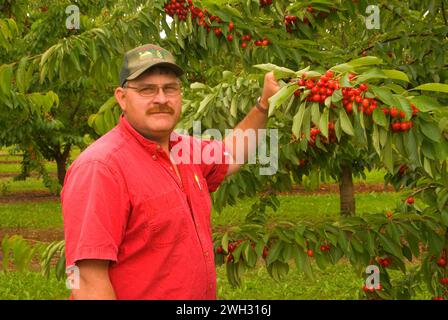Rick Johnson, Fruit grower, Johnson Farms, Marion County, Oregon Stock ...