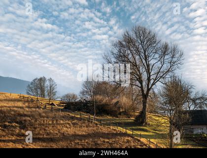 Last good weather days in autumn mountain countryside. Peaceful ...
