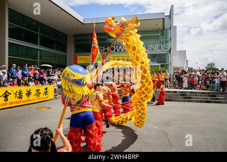 Auckland, New Zealand - Feb 03 2024: Dragon dance at Chinese New Year ...