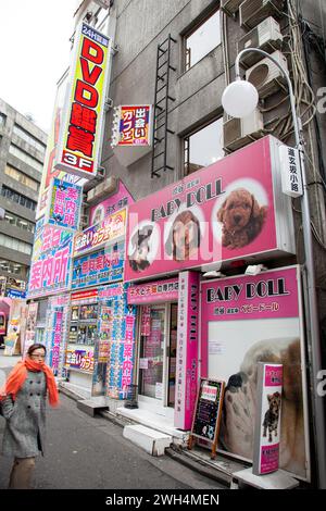Pet shop in Tokyo, Japan, Asia. Japanese people shopping in store ...
