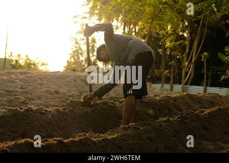 Farmers use hoes while cultivating the land while working on ...