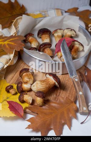 Autumn composition of several Imleria Badia or Boletus badius mushrooms ...