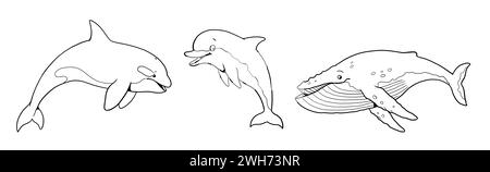 Cute orca, whale and dolphin to color in. Template for a coloring book ...