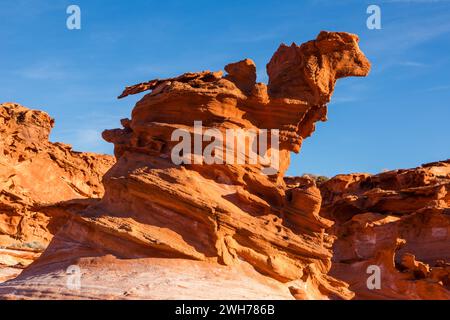 Fragile eroded Aztec sandstone formations in Little Finland, Gold Butte ...