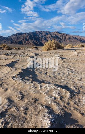 Mineral deposits on the sandy desert floor in Death Valley National ...