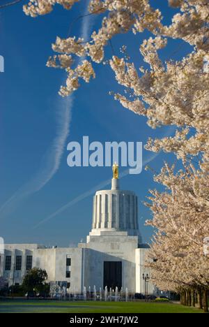 Cherry tree bloom, Oregon State Capitol grounds, Salem, Oregon Stock ...