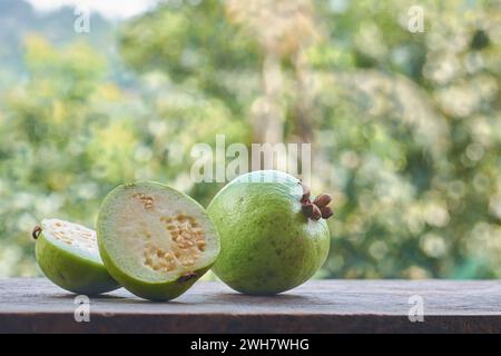 guava isolated on blurry garden background, oval shaped common tropical ...