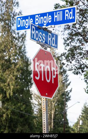 Dingle Bingle Hill Road street sign in Nanaimo, British Columbia ...