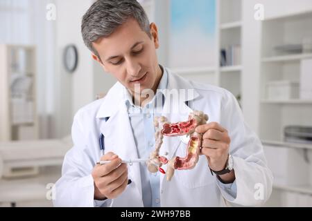 Gastroenterologist showing anatomical model of large intestine at table ...