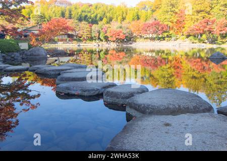 SHOWA KINEN PARK: AUTUMN LEAVES TOKYO Stock Photo - Alamy