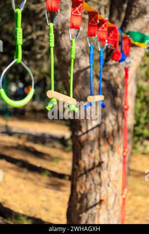 A set of colorful ropes hanging from a tree for children's games Stock ...