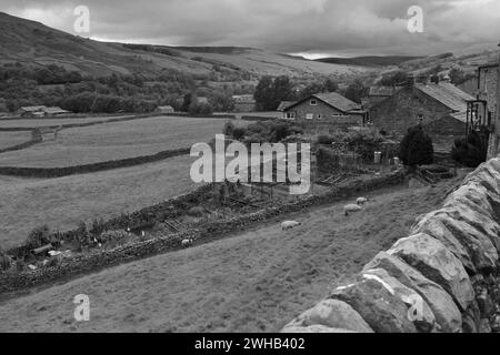 Stone barns and sheep at Gunnerside village, Swaledale; Yorkshire Dales ...