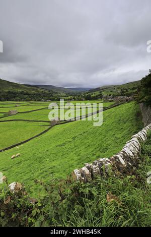 Stone barns and sheep at Gunnerside village, Swaledale; Yorkshire Dales ...