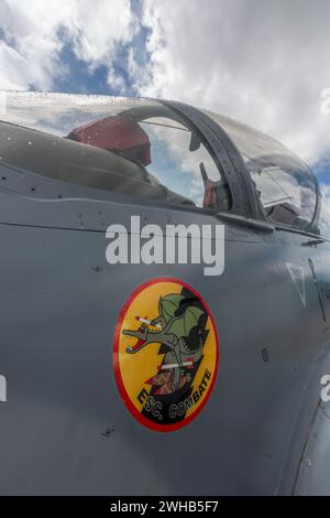 Combat squadron dragon emblem on a Super Tucano fighter aircraft at the ...