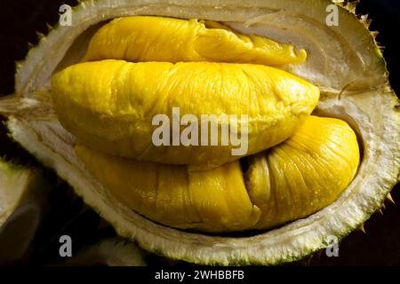 A close up photo of a Musang King durian, a spiky, oval-shaped fruit ...