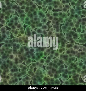 a large rendered image of bacteria or cells under a microscope Stock Photo - Alamy
