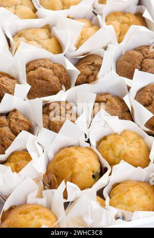 lots of freshly baked small muffins cakes in rows Stock Photo - Alamy
