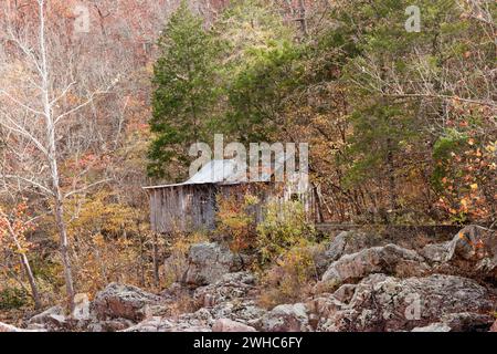 Old settlers cain in the forest Stock Photo - Alamy