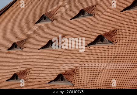 New tiled roof with dormers Stock Photo - Alamy