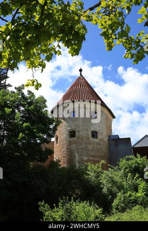 The historic city centre of Dingolfing with a view of the bronze city ...