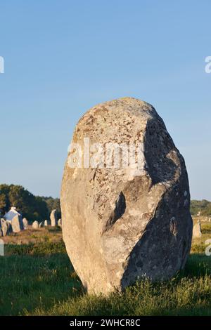 Megalith, Alignements du Menec, Carnac, Department of Morbihan ...