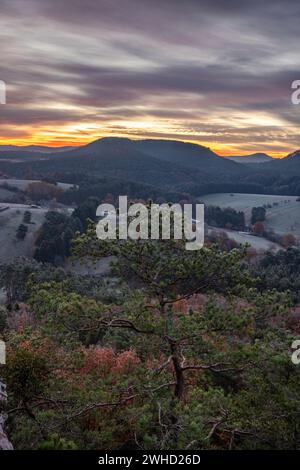 Morning mood at sunrise, hilly landscape with fog, meadow and trees ...