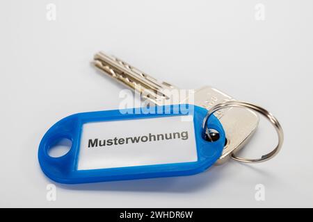 Key ring with blue key fob, labeled 'Home Office', dimple key, white ...