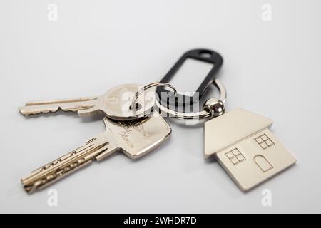 Key ring with black key fob, without labeling, contract, rental ...