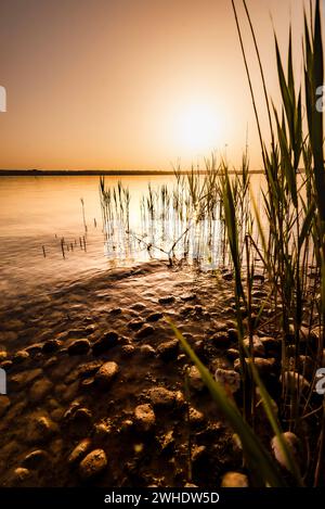 A landscape shot of a lake through the reeds under the beautiful cloudy ...