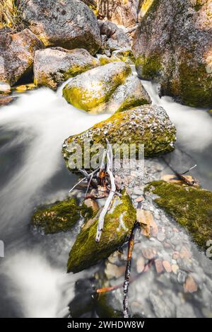 Shot of mossy stones in a green forest Stock Photo - Alamy
